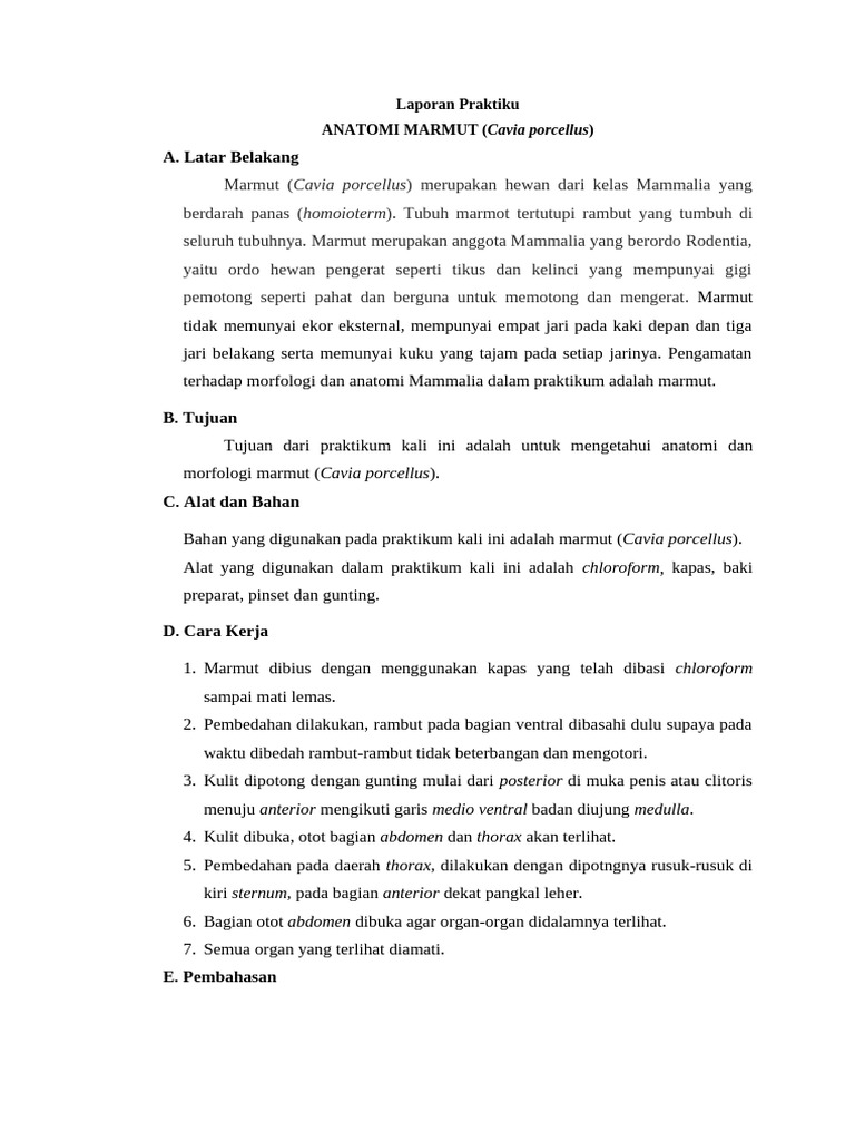 Laporan Praktikum Acara Vii Anatomi Marmut | PDF