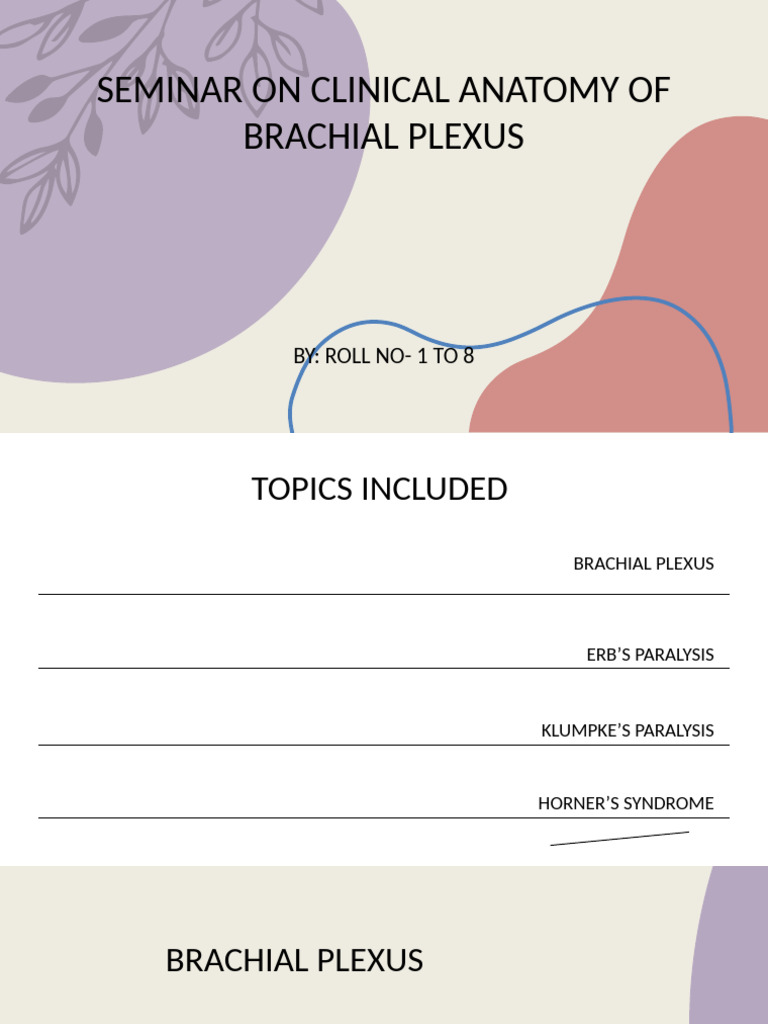 Seminar of Brachial Plexuses | PDF | Limbs (Anatomy) | Neuroanatomy