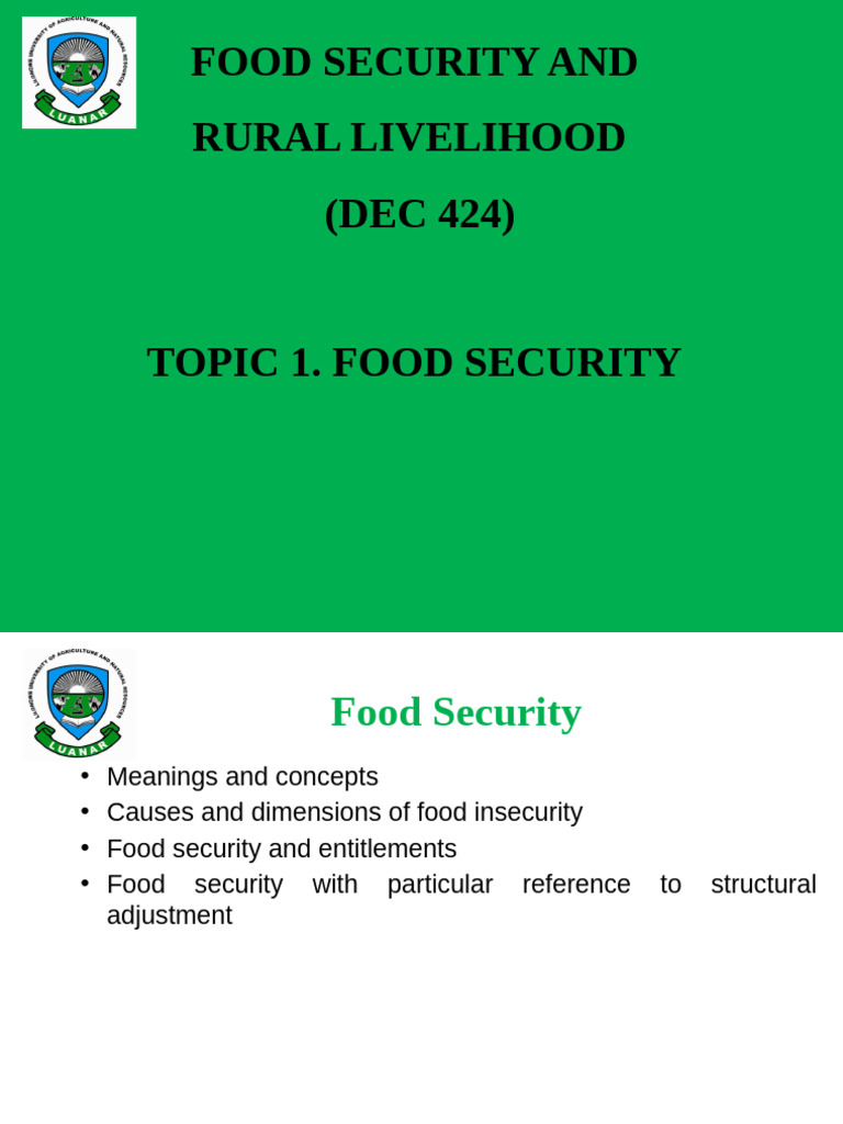 Understanding Food Security Concepts | PDF | Food Security | Economic ...
