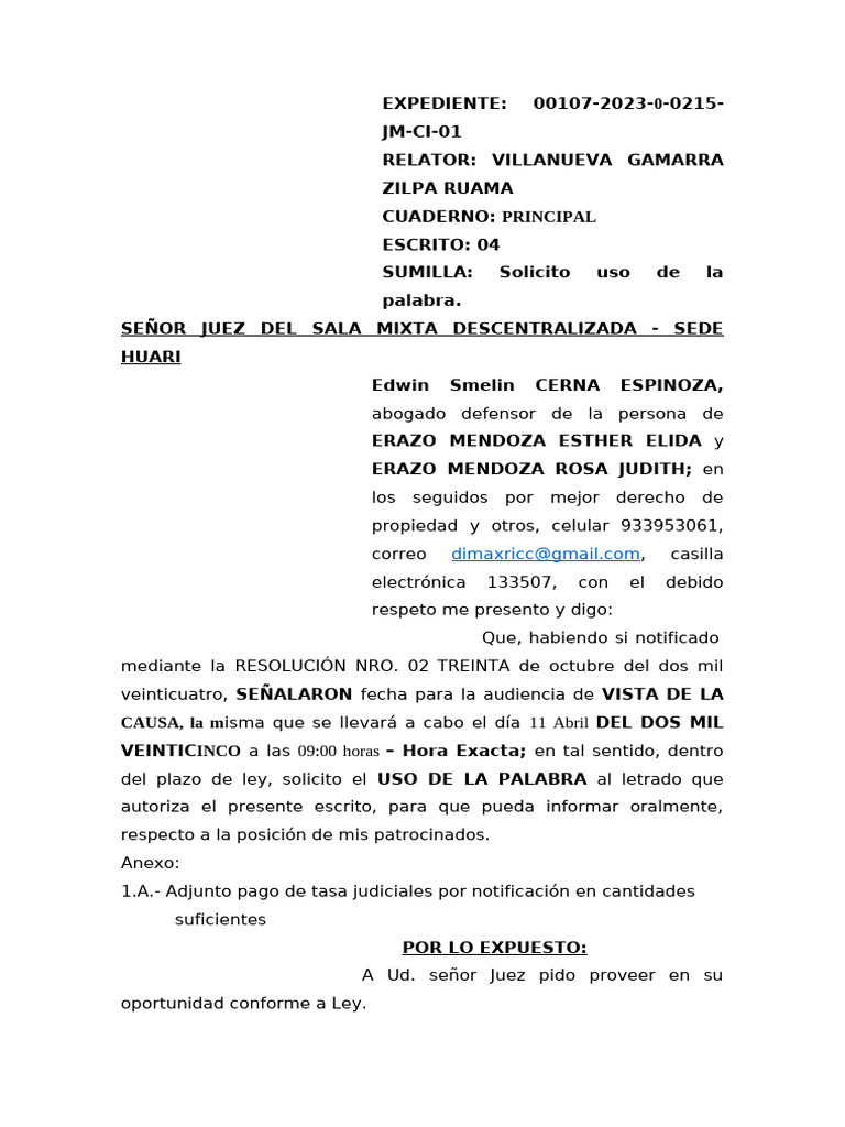 Solicitud de Uso de la Palabra en Audiencia | PDF
