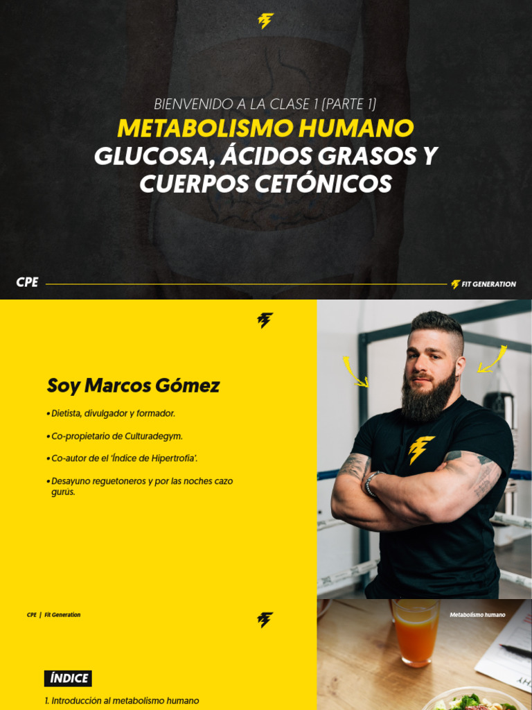 CLASE 1 (PARTE 1) - Metabolismo Humano - Glucosa, Cidos Grasos y Cuerpos Cet Nicos | PDF ...