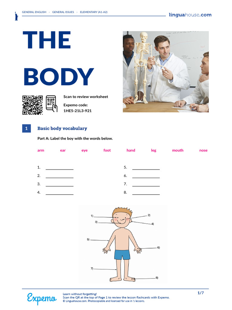 The Body American English Teacher A1 A2 | PDF | English Language ...