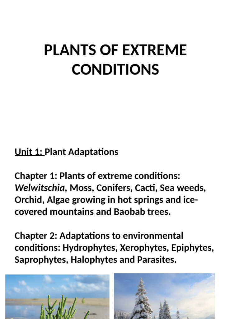 Fascinating World of Plants | PDF | Moss | Plants