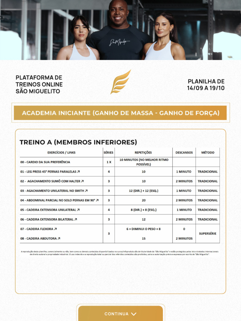 Academia Iniciante (Ganho de Massa - Ganho de Força) | PDF