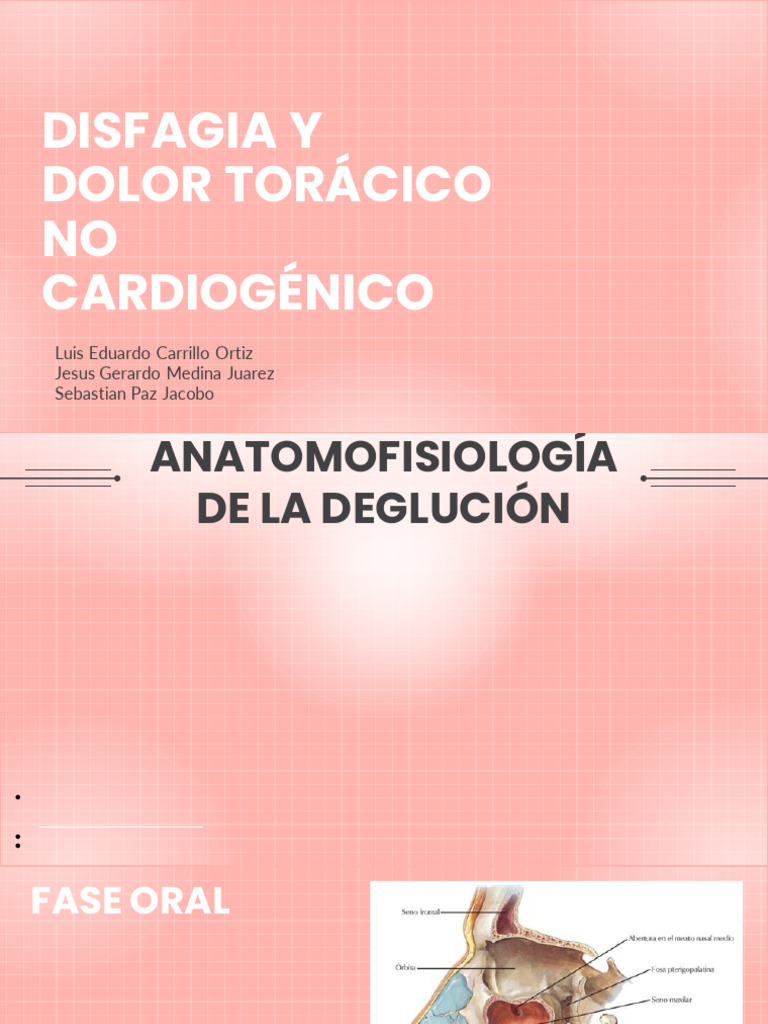 1er Equipo - Esofago y Disfagia 2 | PDF | Esófago | Laringe