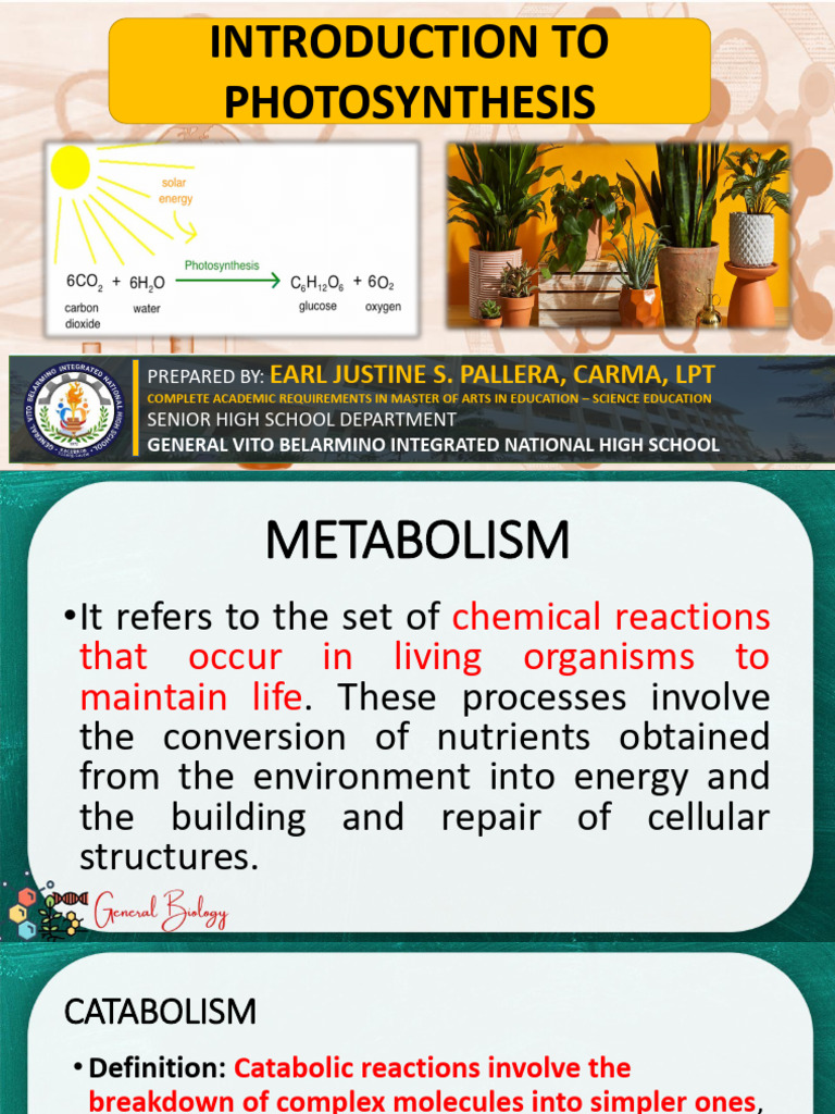 Lecture 3a Introduction To Photosynthesis | PDF | Photosynthesis ...