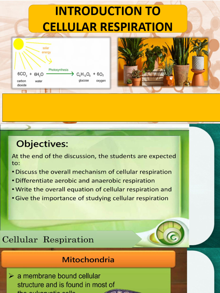 Cellular Respiration: Aerobic & Anaerobic Processes | PDF | Cellular ...
