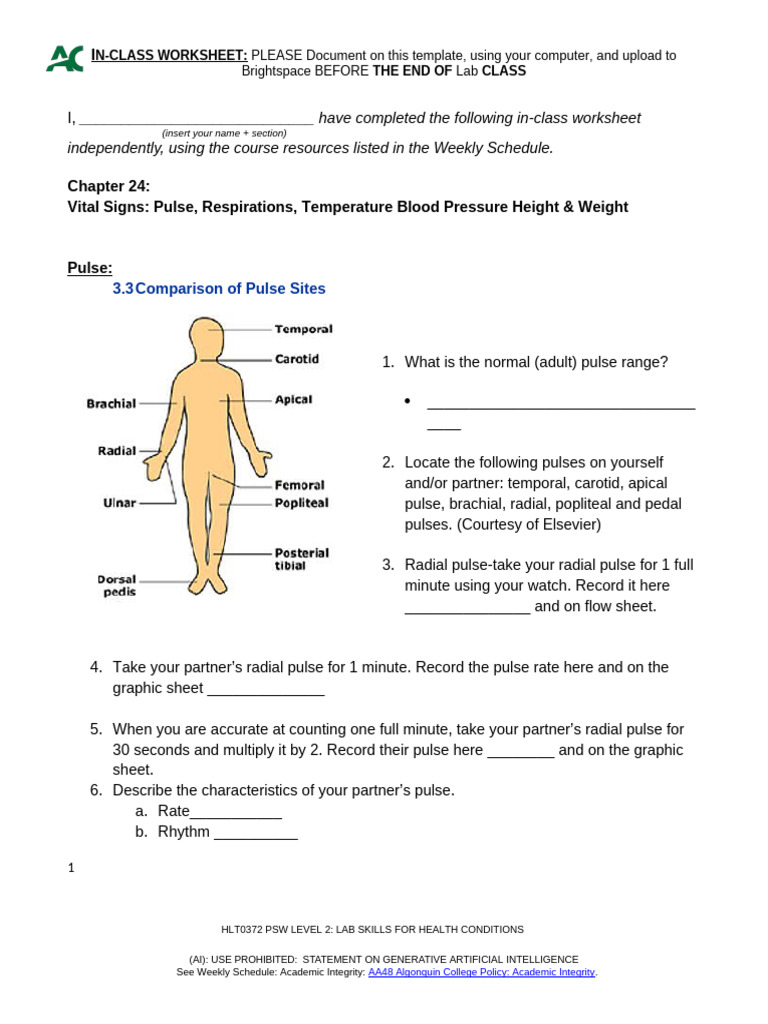 In CLASS Student Activity - SUBMIT BSP - Vital Signs | PDF | Pulse ...
