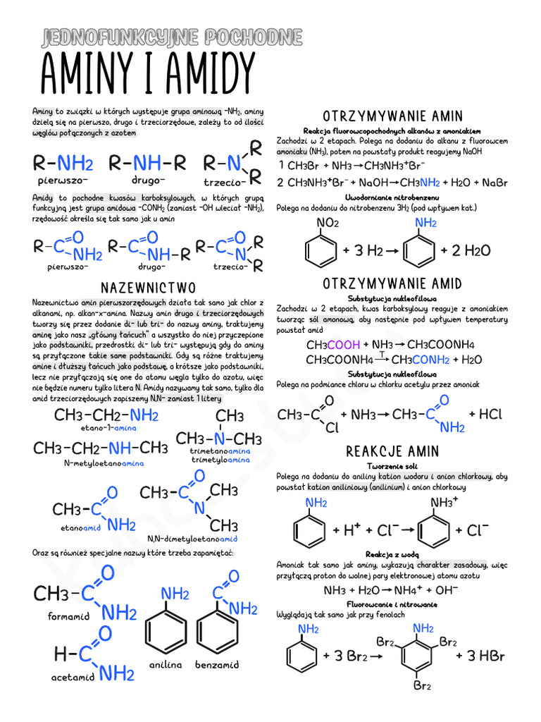 05 Aminy I Amidy - Z 2 | PDF