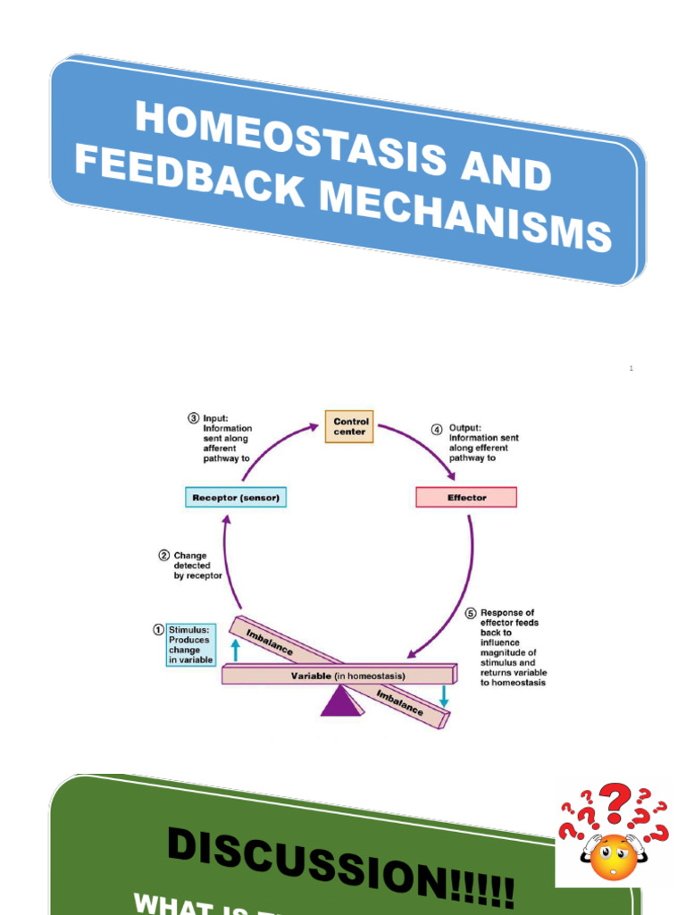 Homeostasis in Nursing Practice | PDF | Homeostasis | Physiology