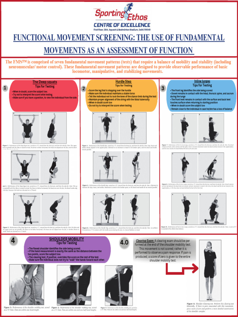 Functional Movement Screening The Use of Fundamental Movements As An ...