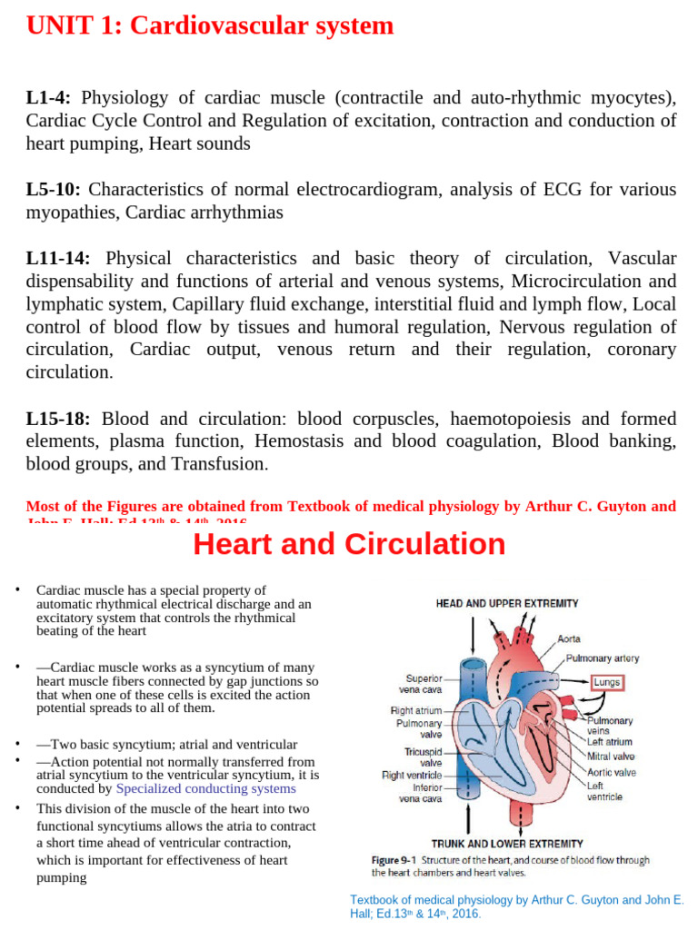 Cardiac Muscles and Anatomy of Heart Lecture 1 | PDF | Heart | Cardiac ...