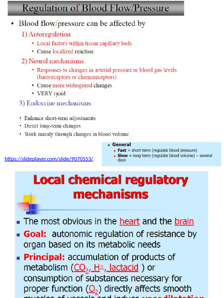 Cardiac Blood Circulation and Coronary Heart Diseases Lecture 4 | PDF ...