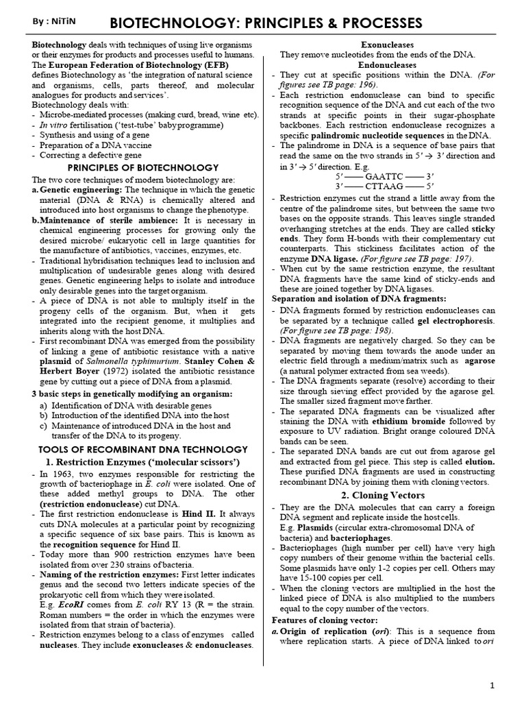 Biotechnology Principles and Techniques | PDF | Molecular Cloning ...