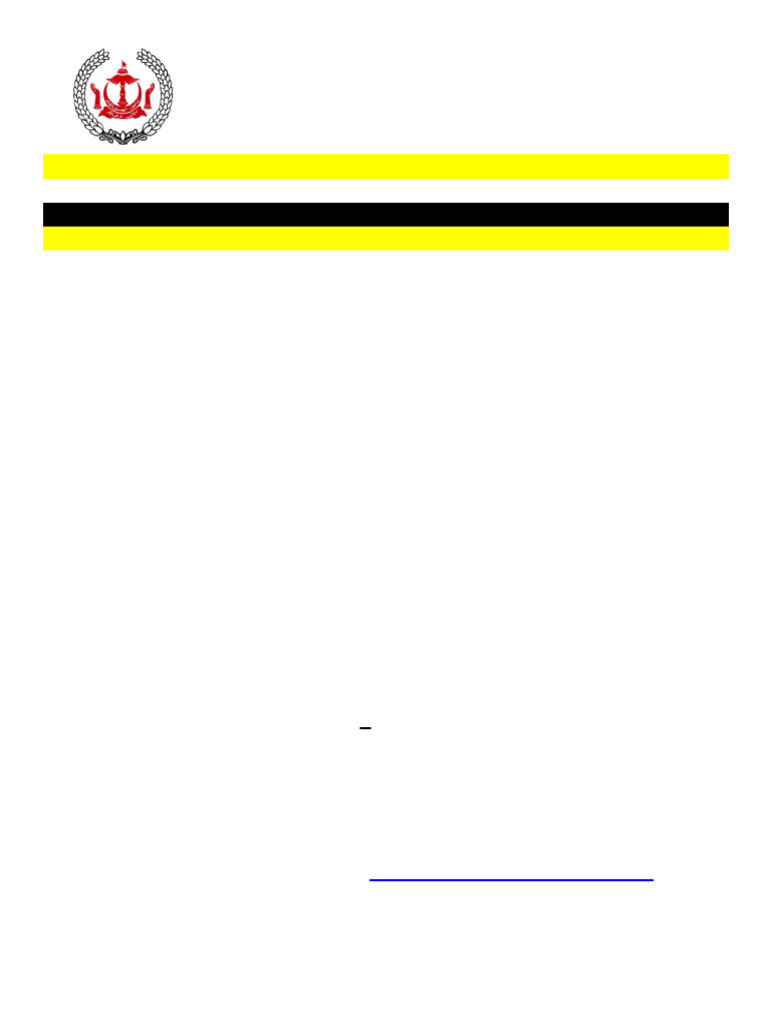 Permanent Mission of Brunei Darussalam | PDF | Computer Security | Security