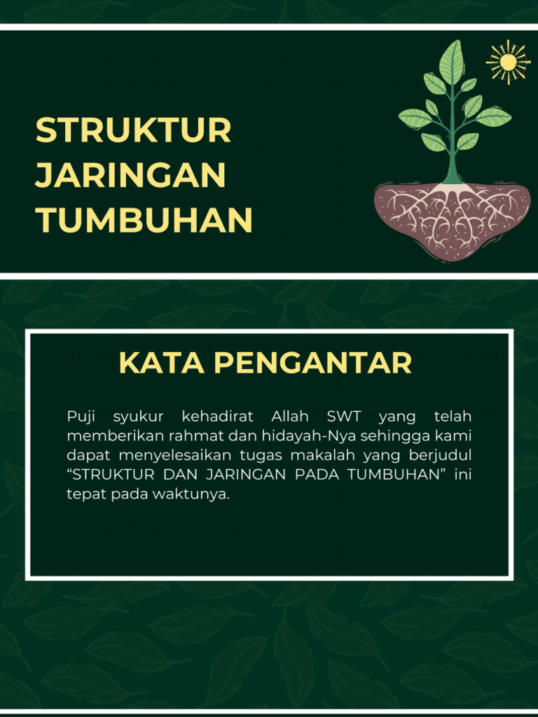 Salinan Dari The Basics of Photosynthesis in Plants Educational ...