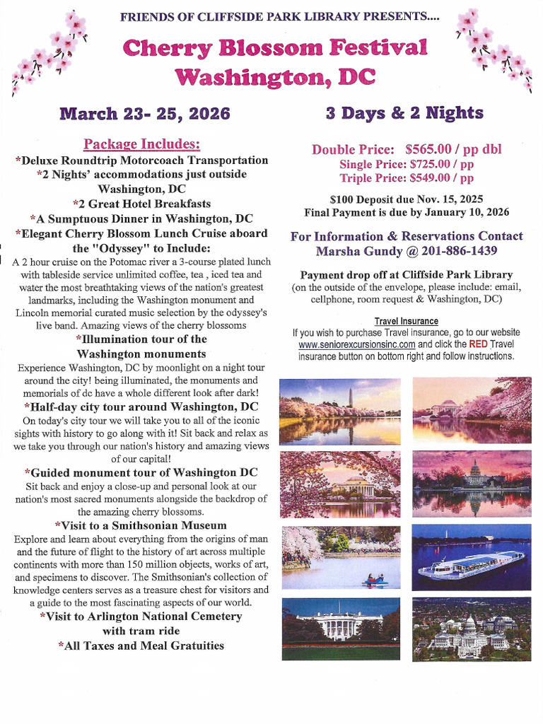 Washington DC Flyer 2 | PDF