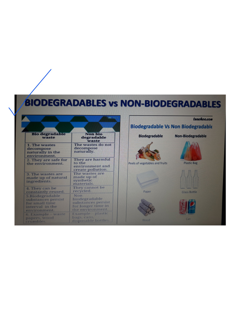 Ch-13.1 - Biodegradable, Ecosystem Components | PDF