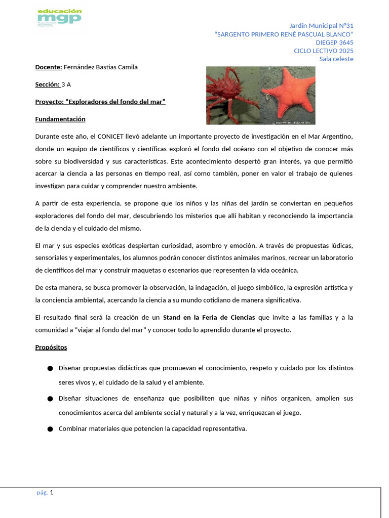 Feria de Ciencias Nov | PDF