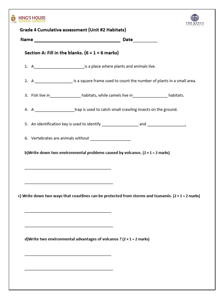 Grade 4 Cumulative Assessment Unit2 | PDF