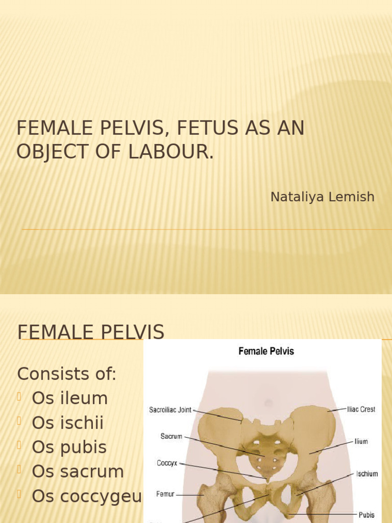 Female Pelvis and Fetal Measurements Guide | PDF | Pelvis ...