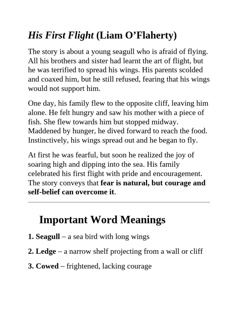 His First Flight | PDF