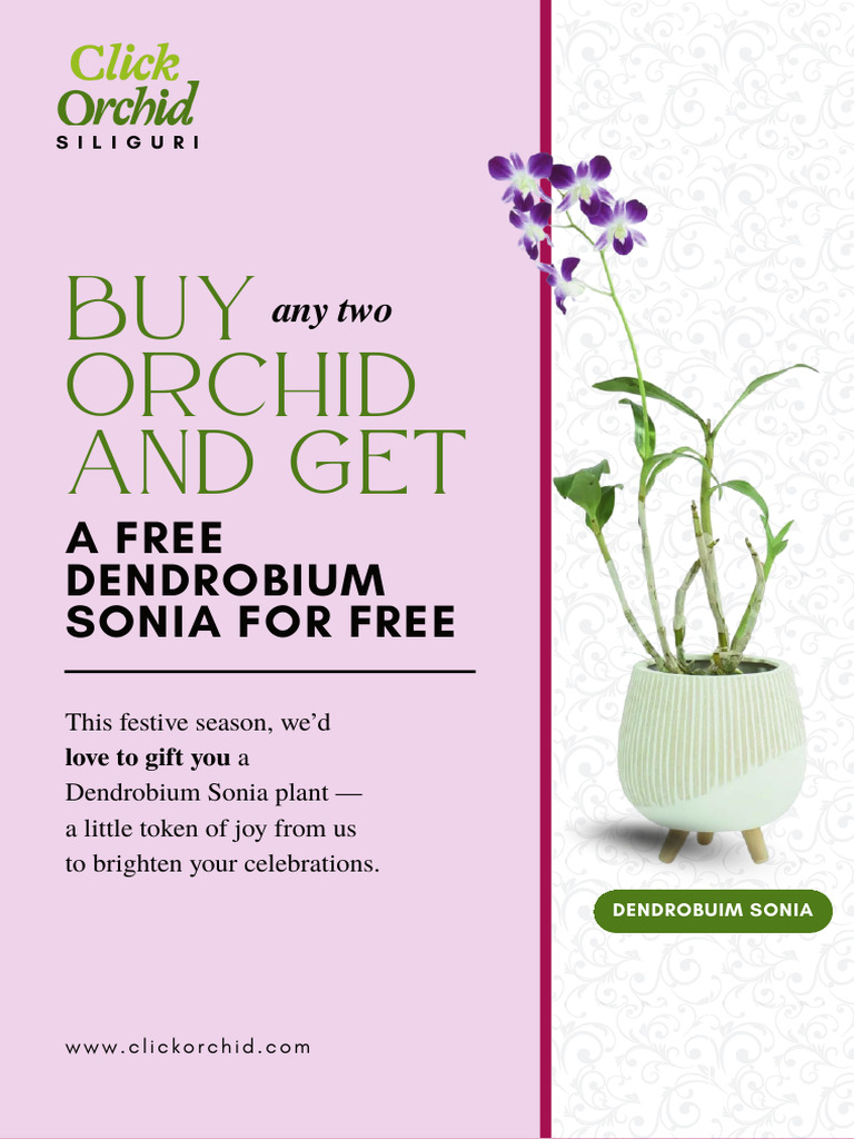 Buy 2 | PDF