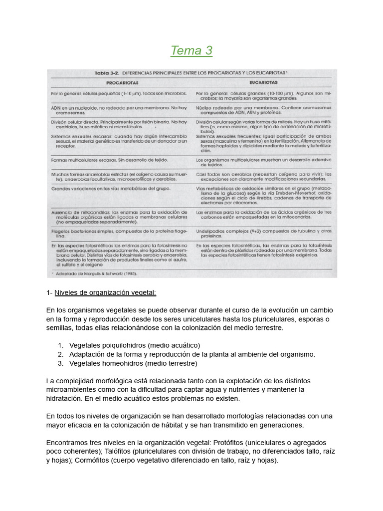 Niveles de Organización Vegetal: Protófitos, Talófitos y Cormófitos ...