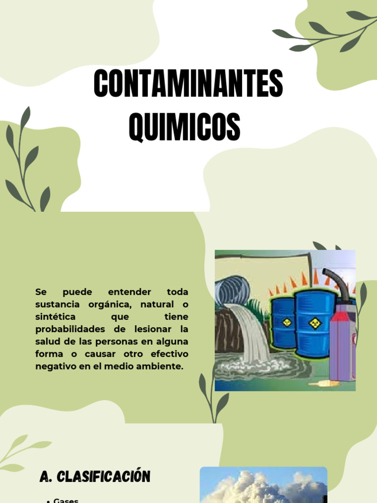 Contaminantes Quimicos (Equipo 3) | PDF