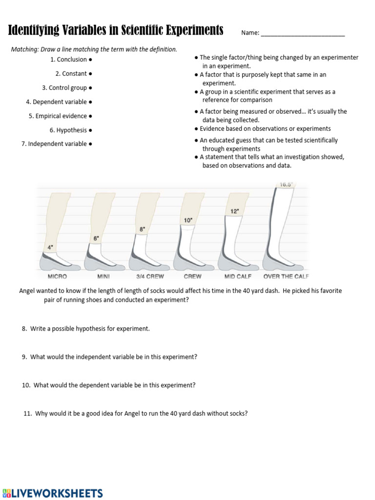 Identifying Variables in Experiments | PDF | Experiment | Hypothesis
