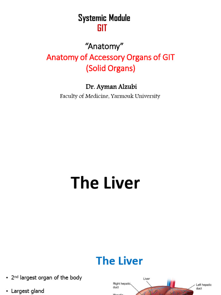 Anatomy of Accessory Organs of GIT | PDF | Liver | Pancreas