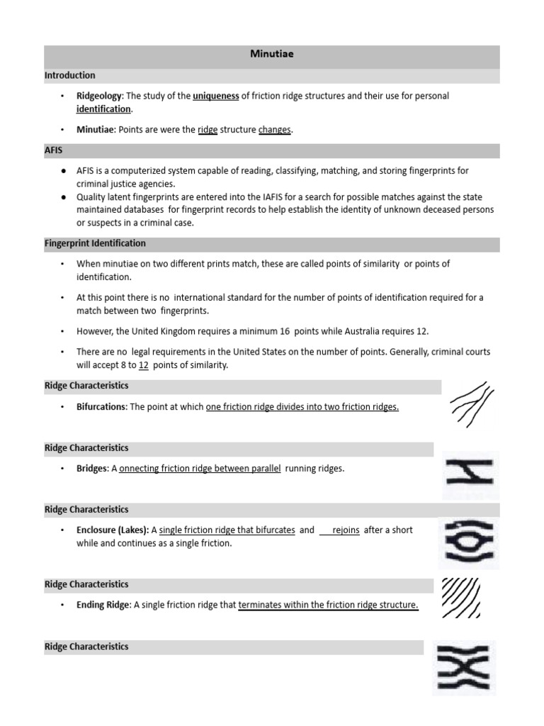 Minutiae GN blank on 2025-10-14 11_31_37 | PDF