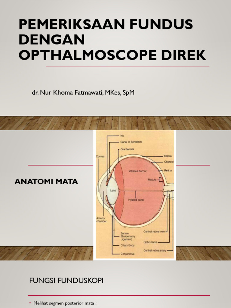 Fundus Examination Techniques with Direct Ophthalmoscope | PDF
