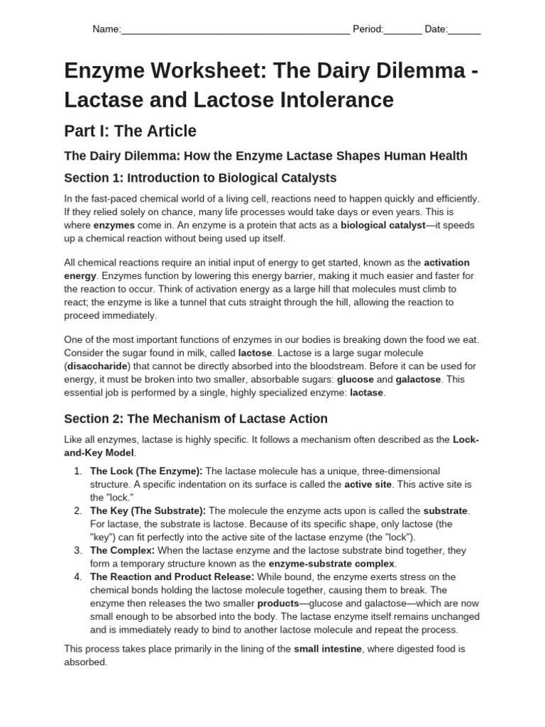 Lactase's Role in Lactose Intolerance | PDF | Enzyme | Chemistry