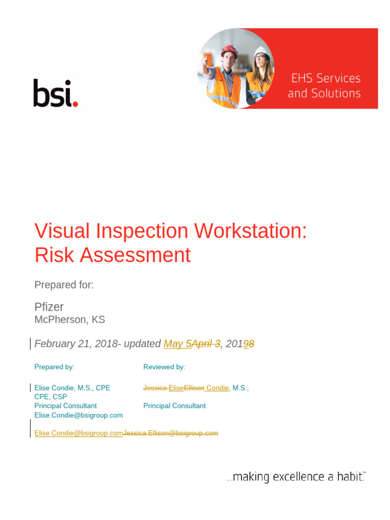 17-0324 Pfizer Visual Inspections Risk Assessment 050519 | PDF ...