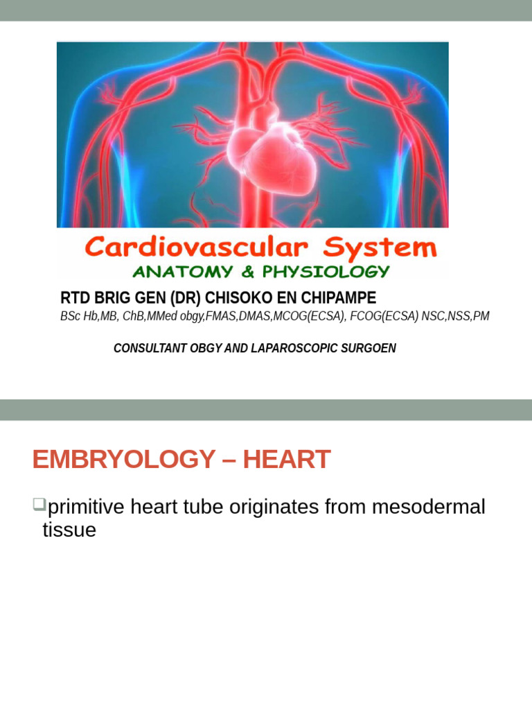 CVS 120 ANATOMY | PDF