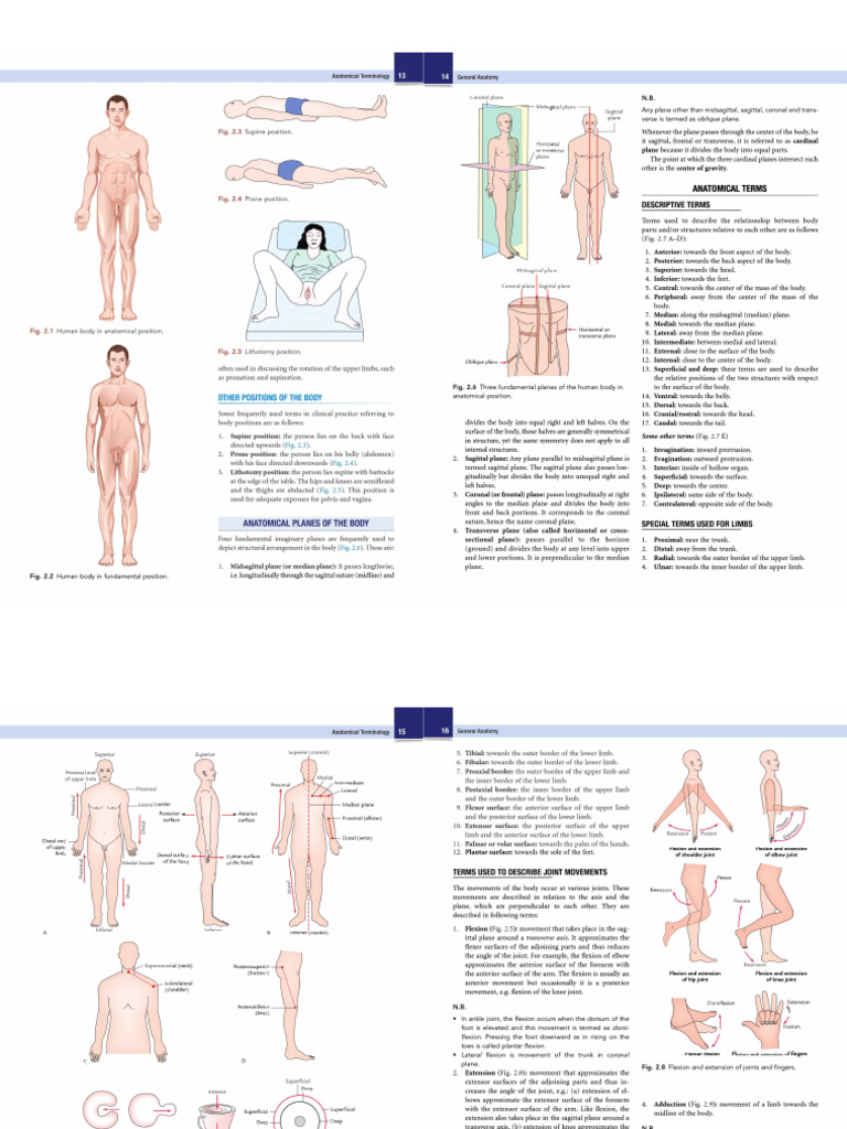 Printing Gen Anatomy | PDF