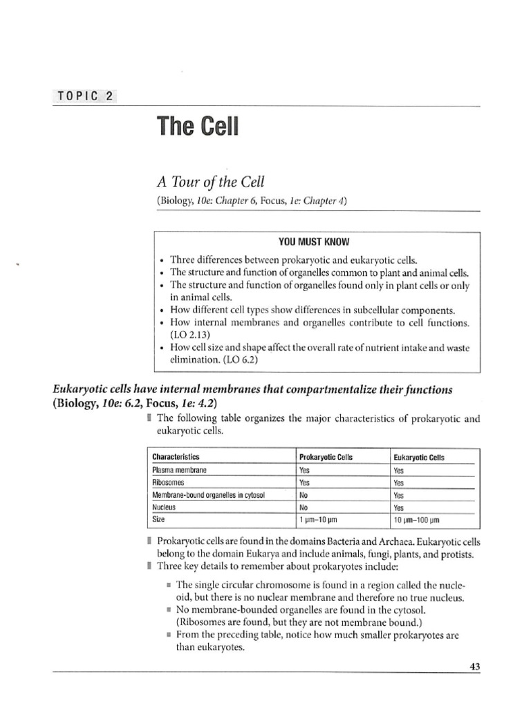AP Bio Cell Unit Review | PDF