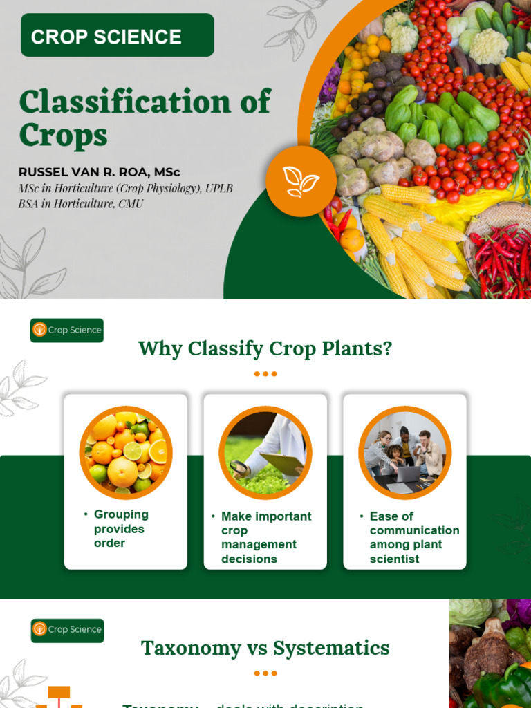 Classification of Crops | PDF | Cereals | Plants