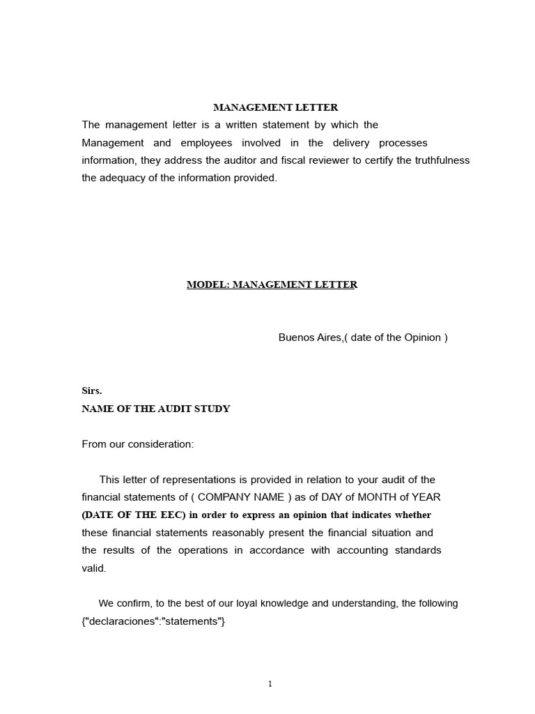 Management Letter | PDF | Audit | Accounting