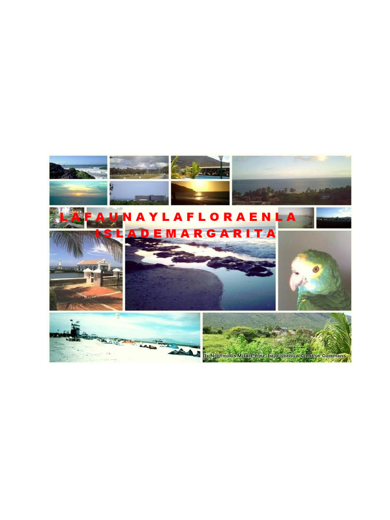 Fauna e Flora da Ilha de Margarita | PDF | Biodiversidade | Extinção