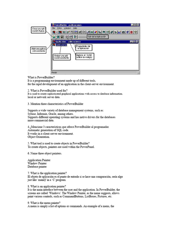 What is PowerBuilder? | PDF | Data Type | Integer (Computer Science)