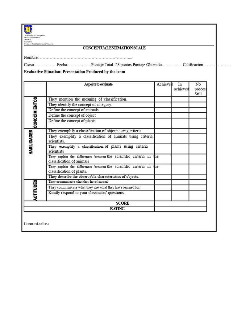 Conceptual Estimation Scale For Projection | PDF
