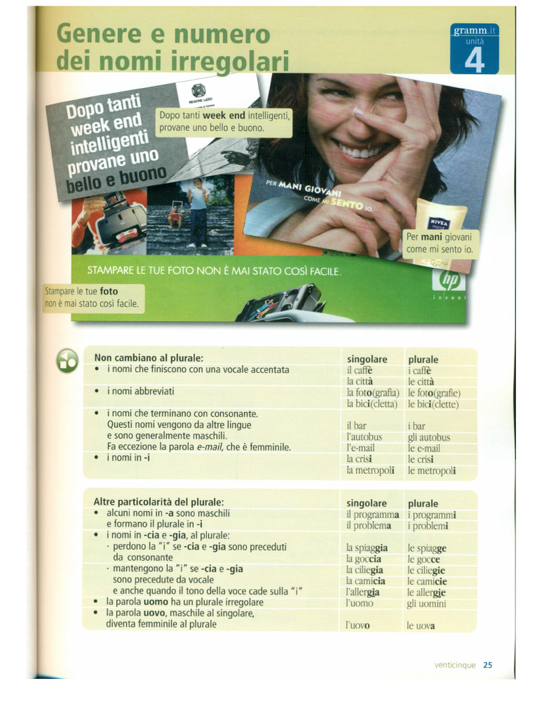 Plurales irregulares | PDF