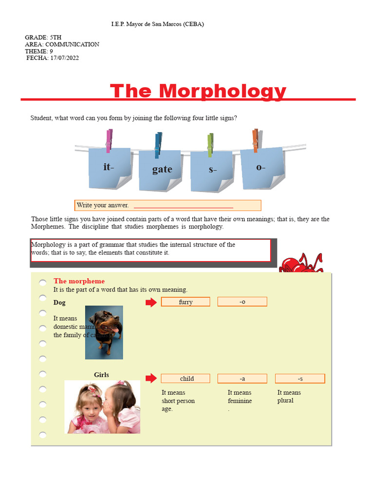 Understanding Morphemes and Morphology | PDF | Morphology (Linguistics ...