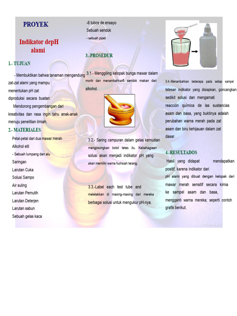 TRIPTICO-EXPERIMENTO.docx | PDF