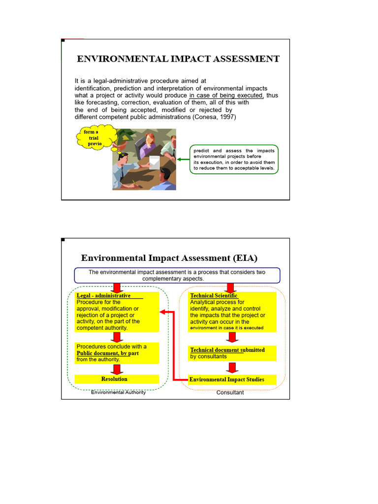 Understanding Environmental Impact Assessment | PDF | Environmental ...