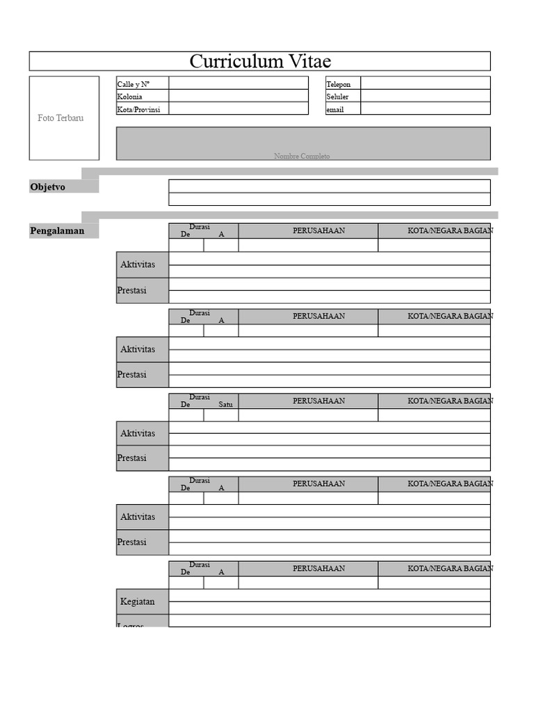 Curriculum CV (Excel) | PDF