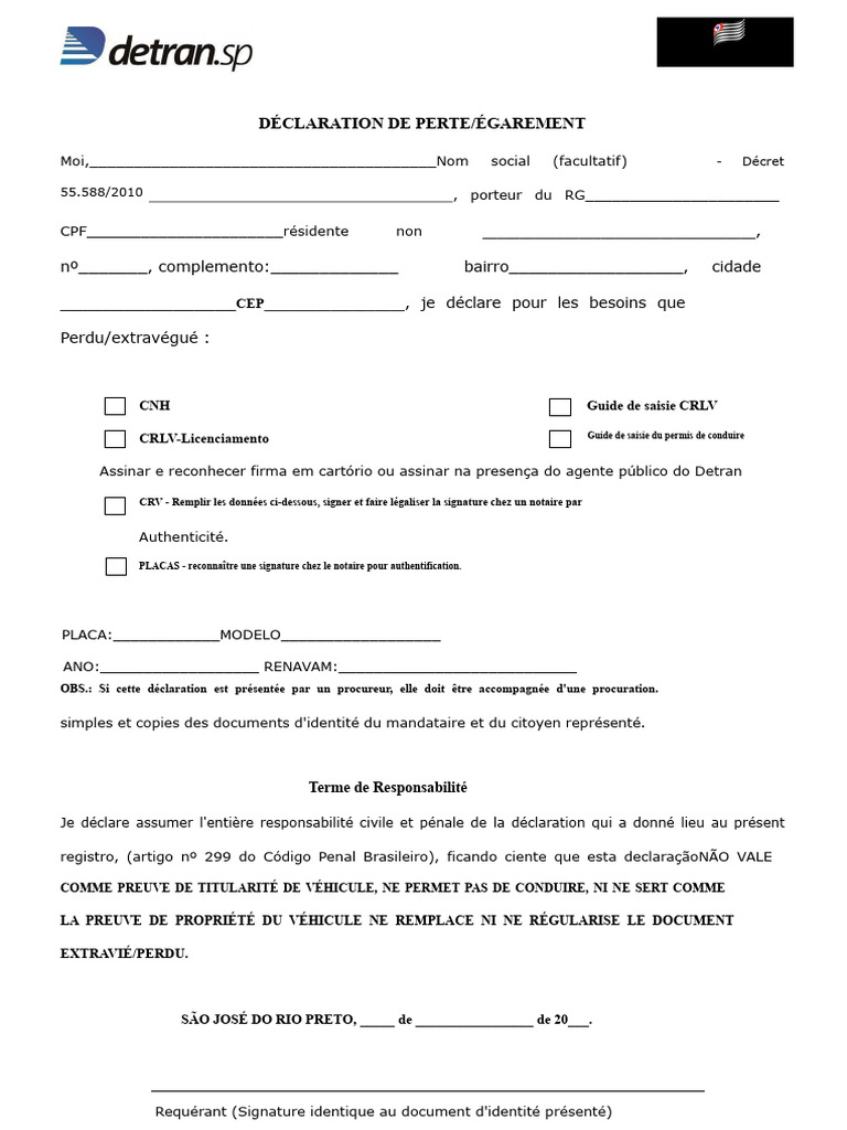Déclaration de perte de documents véhicule | PDF