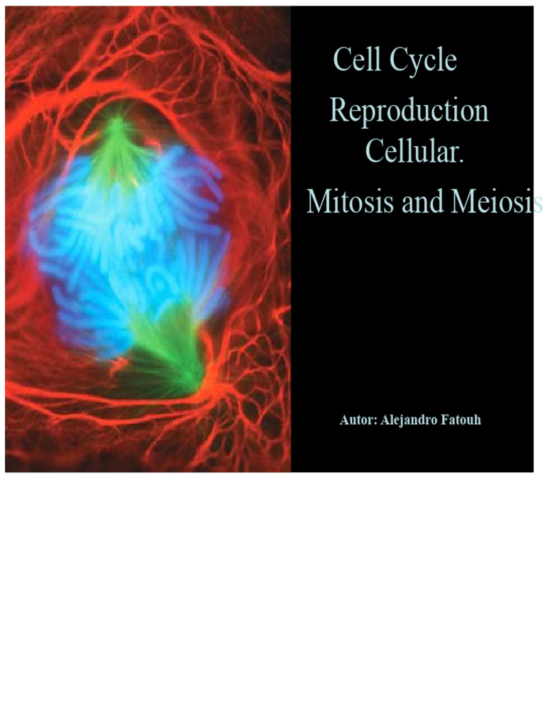 Cell Cycle and Cell Division | PDF | Meiosis | Mitosis